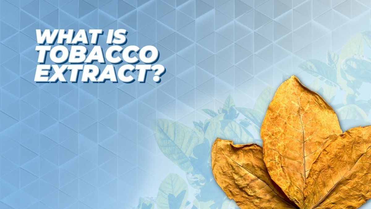 What is Tobacco Extract? | What It Is & Why It Matters for Vapers